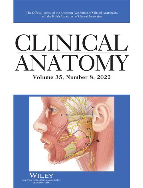 Correlation Between Individual Physical Characteristics And Spinal