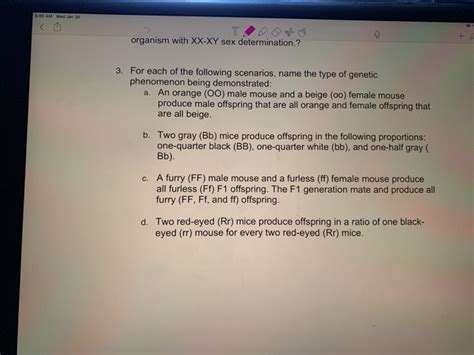 Solved Organism With XX XY Sex Determination For Each Of Chegg Com