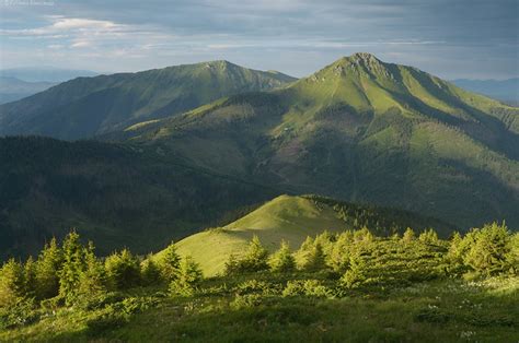 🌱Міська дитяча екологічна станція Івано Франківської міської ради