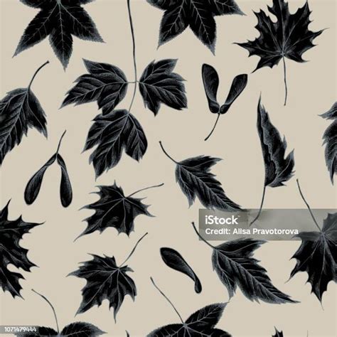 벡터가을 패턴의 완벽 한 패턴입니다 손으로 그린된 벡터 일러스트 레이 션 0명에 대한 스톡 벡터 아트 및 기타 이미지 0명 9월 가을 Istock