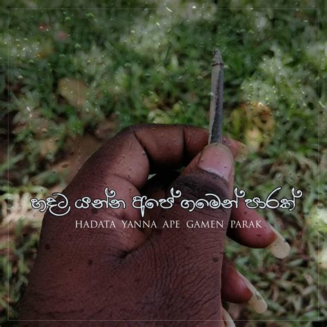 හදට යන්න අපේ ගමෙන් පාරක්