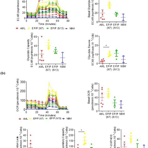 Metabolic Characterization Of Primary Aml Blasts And Early