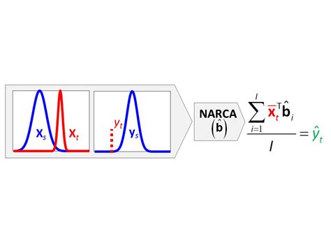 Local Modeling By Adapting Source Calibration Models To Analyte Shifted Target Domain Samples