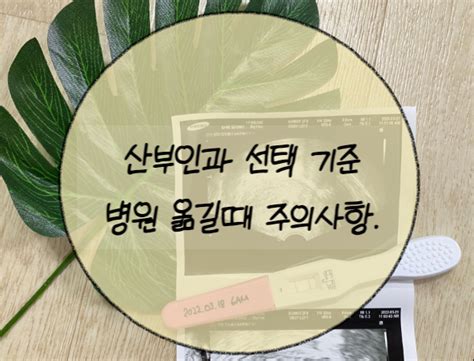 임산부 산부인과 선택 기준 And 산부인과 옮길 때의 주의사항 네이버 블로그