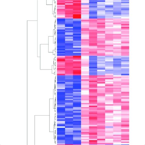 Hierarchical Clustering Of The Top 200 Differentially Expressed Genes