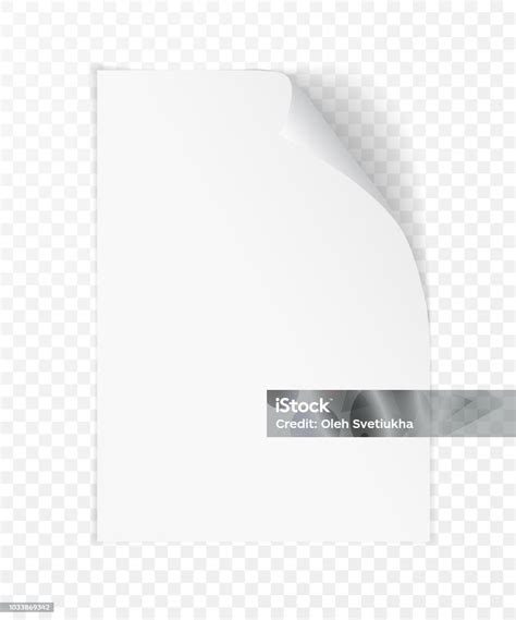 컬된 코너와 벡터 현실적인 백서 페이지입니다 종이 시트 밝은 회색 배경에 부드러운 그림자로 접혀 A4 페이지를 모의입니다 3d 그림입니다 디자인 서식 파일 3차원 형태에