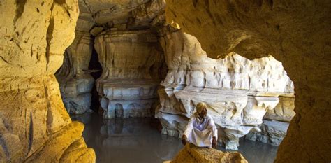 Circuit Ornithologique Harmony Ethiopian Tours