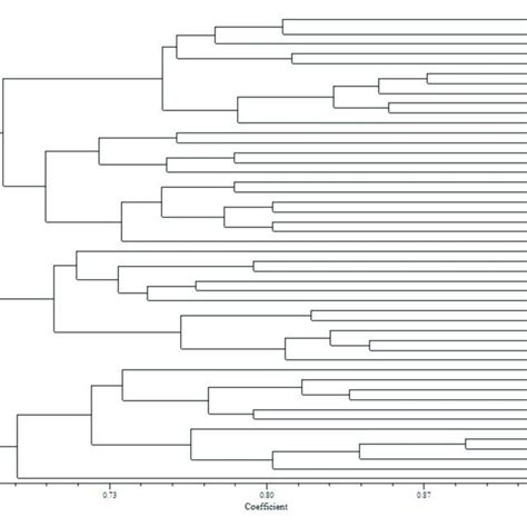 Unweighted Pair Group Method With Arithmetic Mean Upgma Dendrogram Of