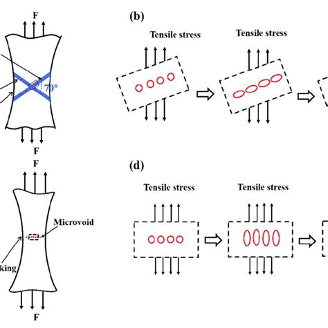 Schematic Description About The Microvoid Initiation Growth And