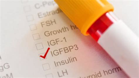 Igf 1 Insulin Like Growth Factor 1 Growtallerblog