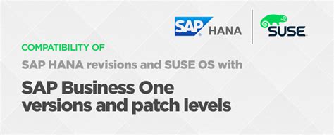 Compatibility Of Hana Revisions And Suse Os With Sap Business One