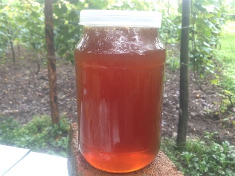 ზაფხულის თაფლი 2018 Tapli Ge თაფლი თაფლის არაყი ცვილი სხვა თაფლი