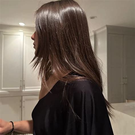 Pin By Leyla On Inspo Hair Styles Brunette Aesthetic Silky Hair