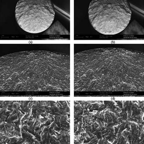 Fractographic Images On Fracture Surface At Different Magnifications Download Scientific