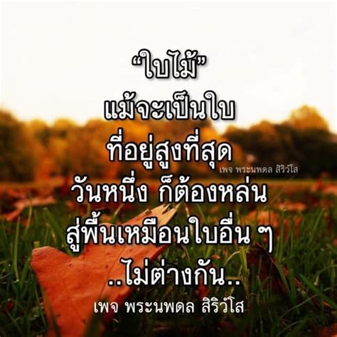 ใบไม้ ความงามและการเปลี่ยนแปลงในธรรมชาติ พระนพดล สิริวํโส