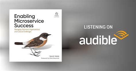 Enabling Microservice Success Audiobook By Sarah Wells