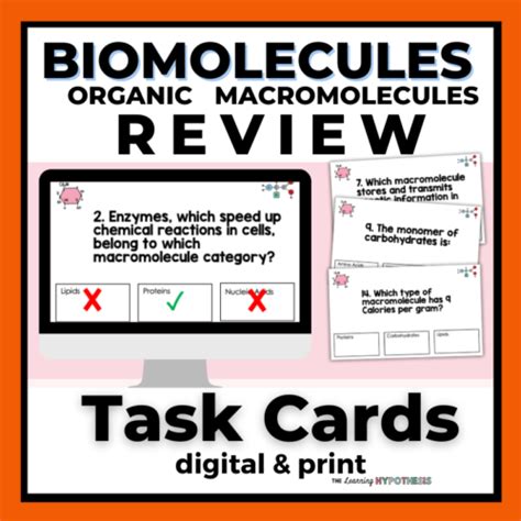 Biomolecules Review Activities For The High School Classroom The