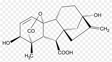 File Gibberellic Acid Svg Chemical Structure Of Gibberellins