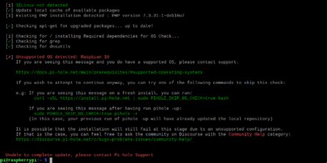 Cannot Update Pi Hole Error Unsupported Os Detected Rasbian 10