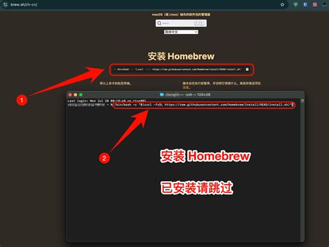 Codex Cli Openai 开源编码代理 Zetatechs Docs