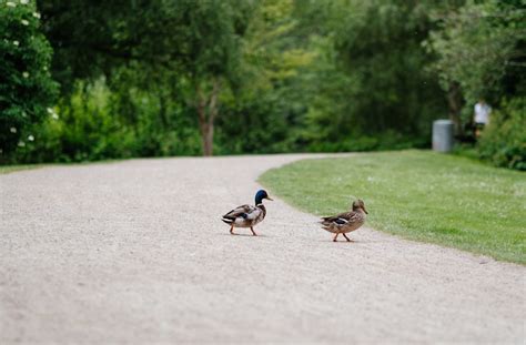 낮 동안 회색 콘크리트 바닥에 앉아 있는 파란색 셔츠와 검은색 바지를 입은 2명의 남자 사진 Unsplash의 무료 오덴세 지방 자치체 이미지