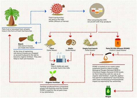 How It Works Zero Waste In Palm Oil Production Golden Agri Resources