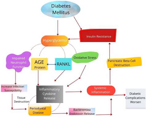 Bidirectional Relationship Between Periodontal Disease And Diabetes Download Scientific Diagram