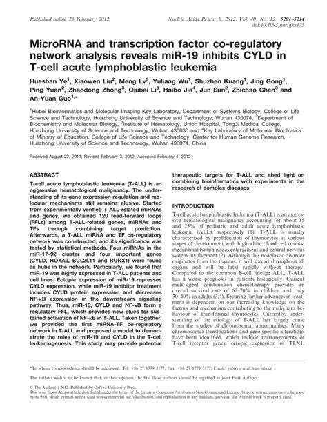 Pdf Microrna And Transcription Factor Co Regulatory Network Analysis Reveals Mir 19 Inhibits