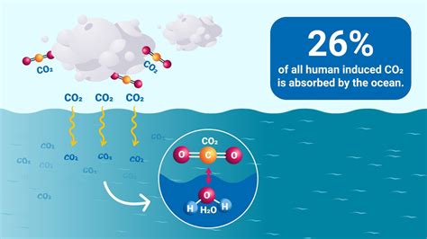 The Impact Of Carbon Dioxide Pollution On Ocean Chemistry And