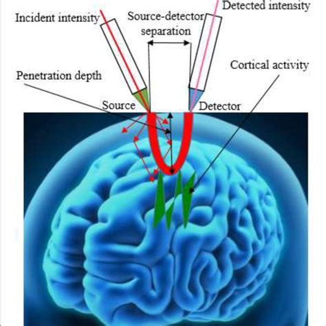 Stages Of Fnirs Signal Analysis Download Scientific Diagram