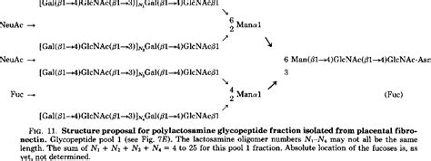 Figure 1 From Human Placental Fetal Fibronectin Increased Glycosylation And Higher Protease