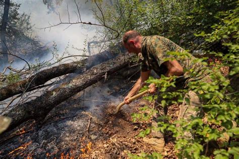 თავდაცვის ძალების ეროვნული გვარდიის პირადი შემადგენლობა და რეზერვისტები