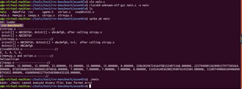 question about sgemm s test · issue 450 · riscvarchive riscv v spec · github
