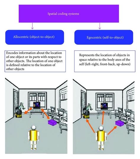 Allocentric Versus Egocentric Spatial Processing Allocentric Spatial