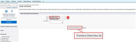 how to promote existing multi select picklist field value as global