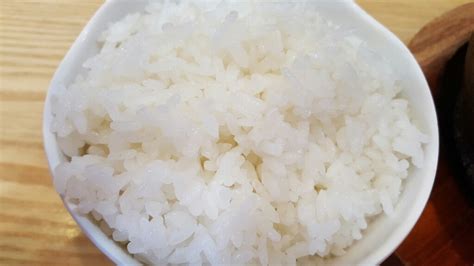 다이어트를 실패하는 가장 큰 이유 인스티즈instiz 이슈 카테고리