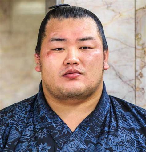 Sumo Below The Belt Tim HornyakTim Hornyak