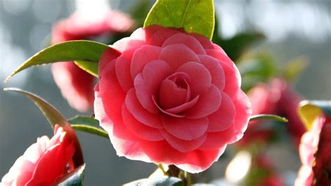 С Днем Рождения Веселое классное поздравление Музыкальная открытка Youtube