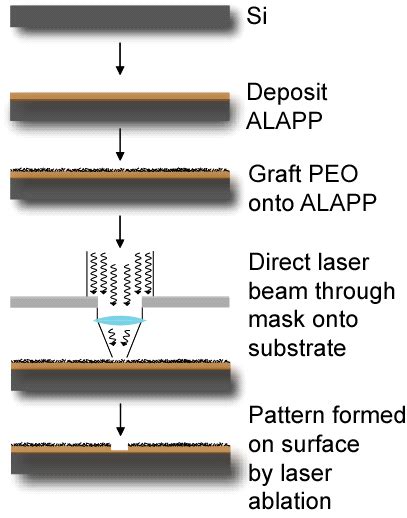 Schematic Of The Method Of Patterning A Transfection Chip Onto A Base