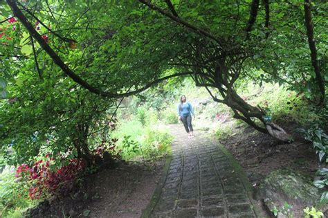 Loved The Pathway Covered With Trees Creating A Tunnel From The Branches It Spread Ganagamaya