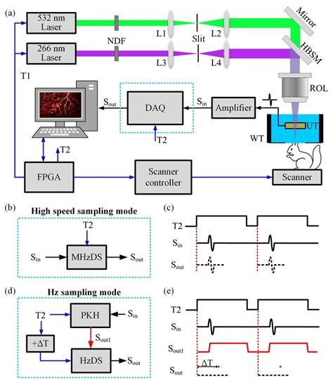 Schematic Diagram Of The Pam System Working In High Speed Sampling Mode