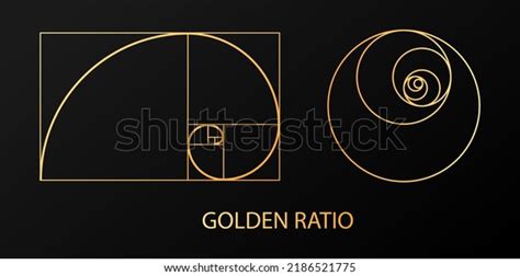Golden Section Circle Fibonacci Sequence Spiral เวกเตอร์สต็อก ปลอดค่า
