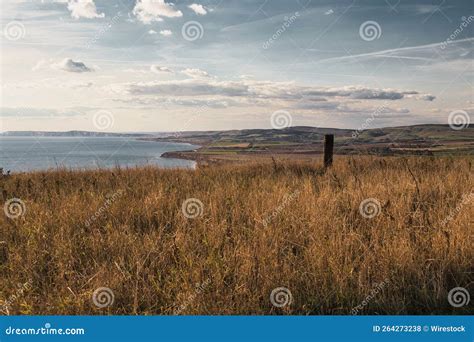 Field With Fry Grass On The Coast Of The Sea On The Isle Of Wight Stock