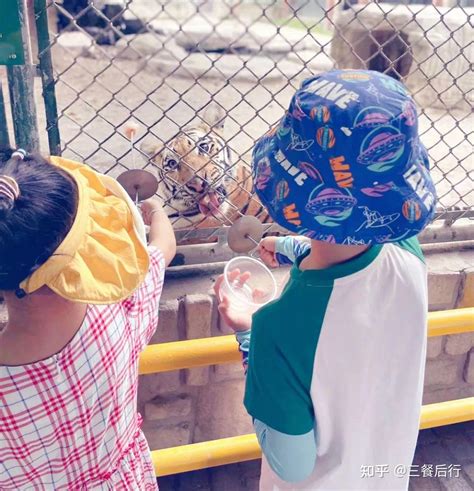 年少两无猜 知乎