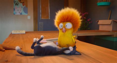 Kinoprogramm: 10 Lives, - search.ch