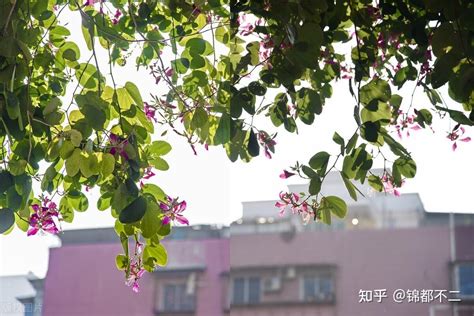 【软件测试】测试大纲法——测试用例编写 知乎