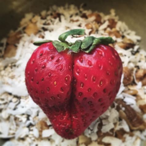 This Strawberry Shaped Like A Booty Mildlyinteresting