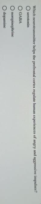 Solved Which Neurotransmitter Helps The Prefrontal Cortex