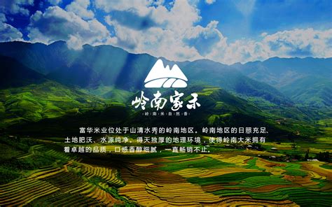 江西省富华米业有限公司官网