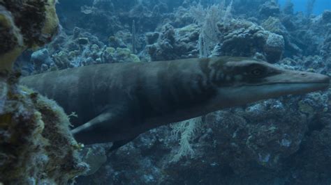 Phosphorosaurus Prehistoric Planet Wiki Fandom